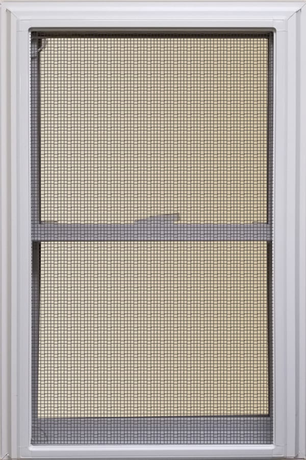 Radiance Plus - Vinylmax