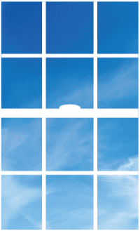 Prestige Specialty – Vinylmax